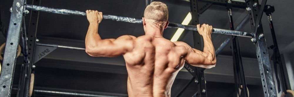 Pull Ups Muscles Worked - Looking at Muscle Activation In Depth ...