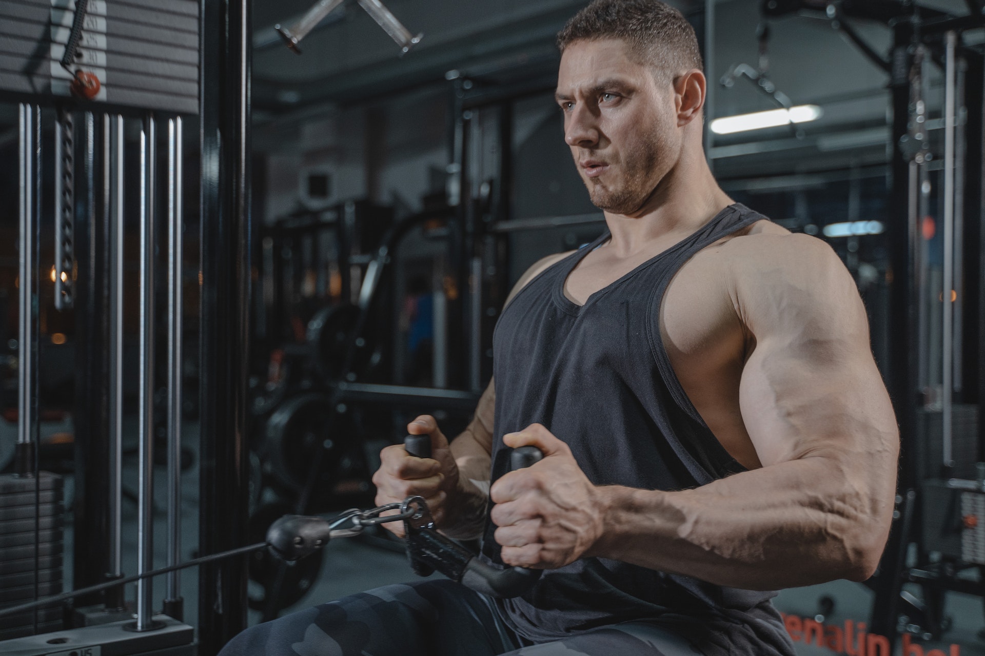 Trap Exercises: Build Stronger, More Sculpted Trapezius Muscles